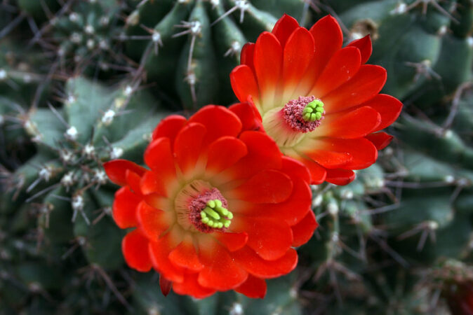 People Skills Civility & Empathy - Power Up This Duo | #CustServ # ...