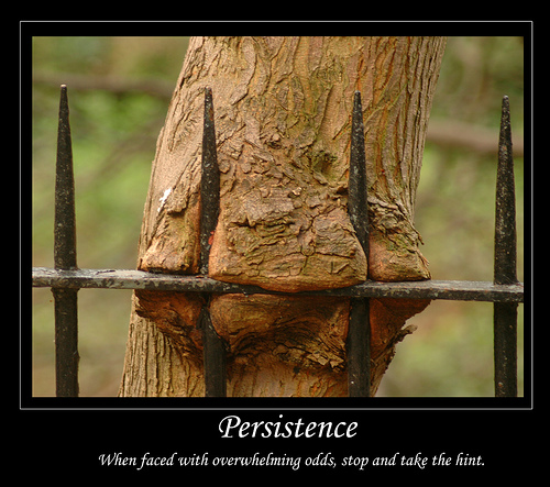 Leadership: Persistence vs. Distorted Resistance to Change - Kate Nasser